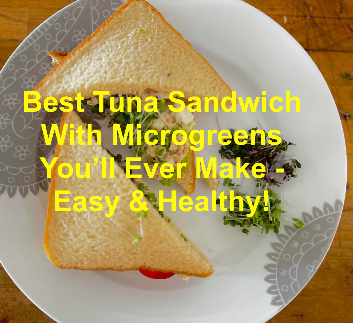 Tuna Sandwich With A Twist - Elevate Your Plate With Microgreens Magic ...