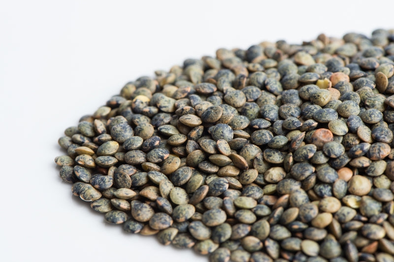 Certified Organic Lentils Sprout Seeds. Free Shipping in S'pore ...