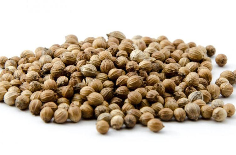 Buy Baby Coriander Seeds Singapore – everythinggreen.sg